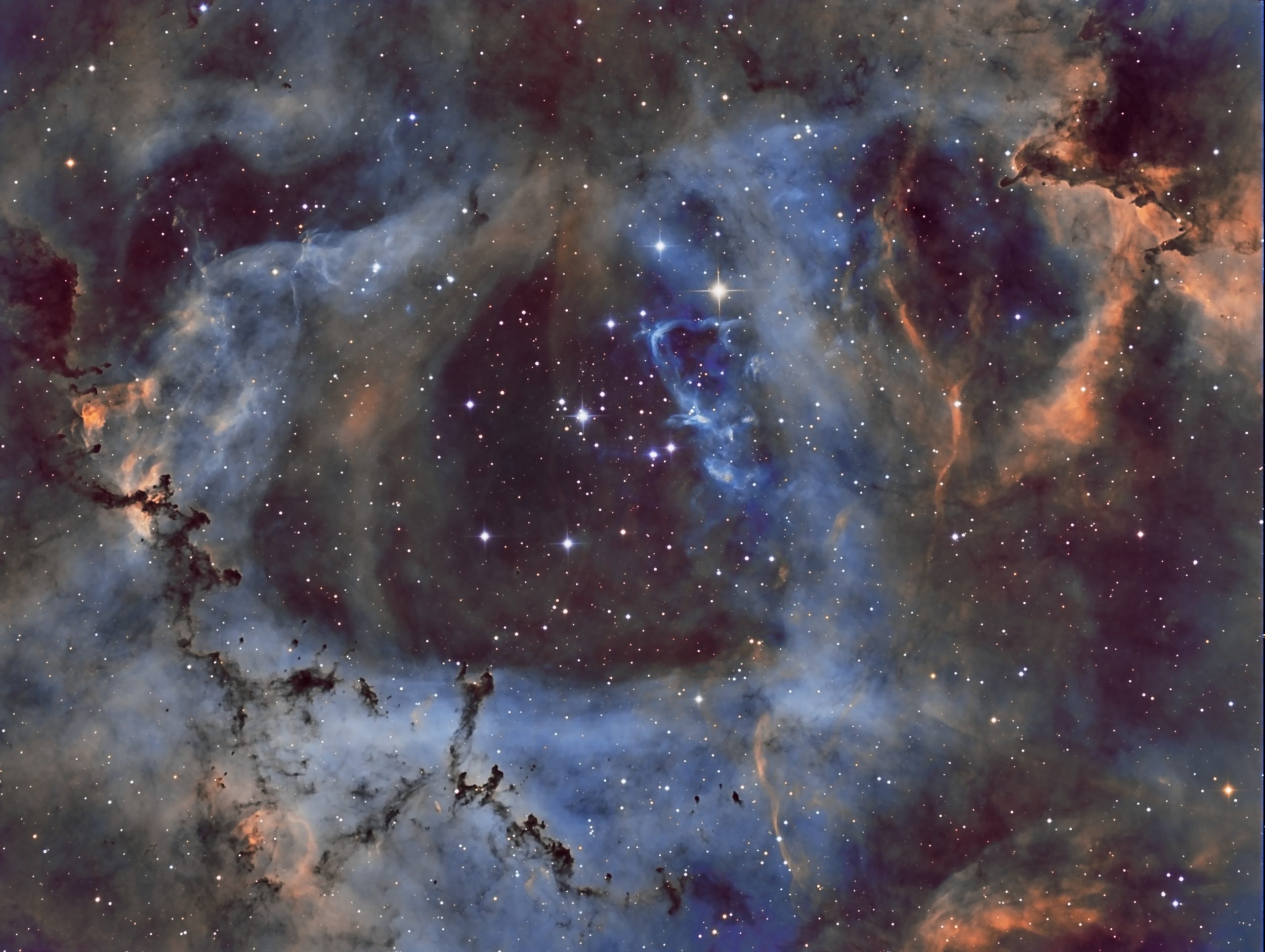 Gallery – Quantum Scientific Imaging